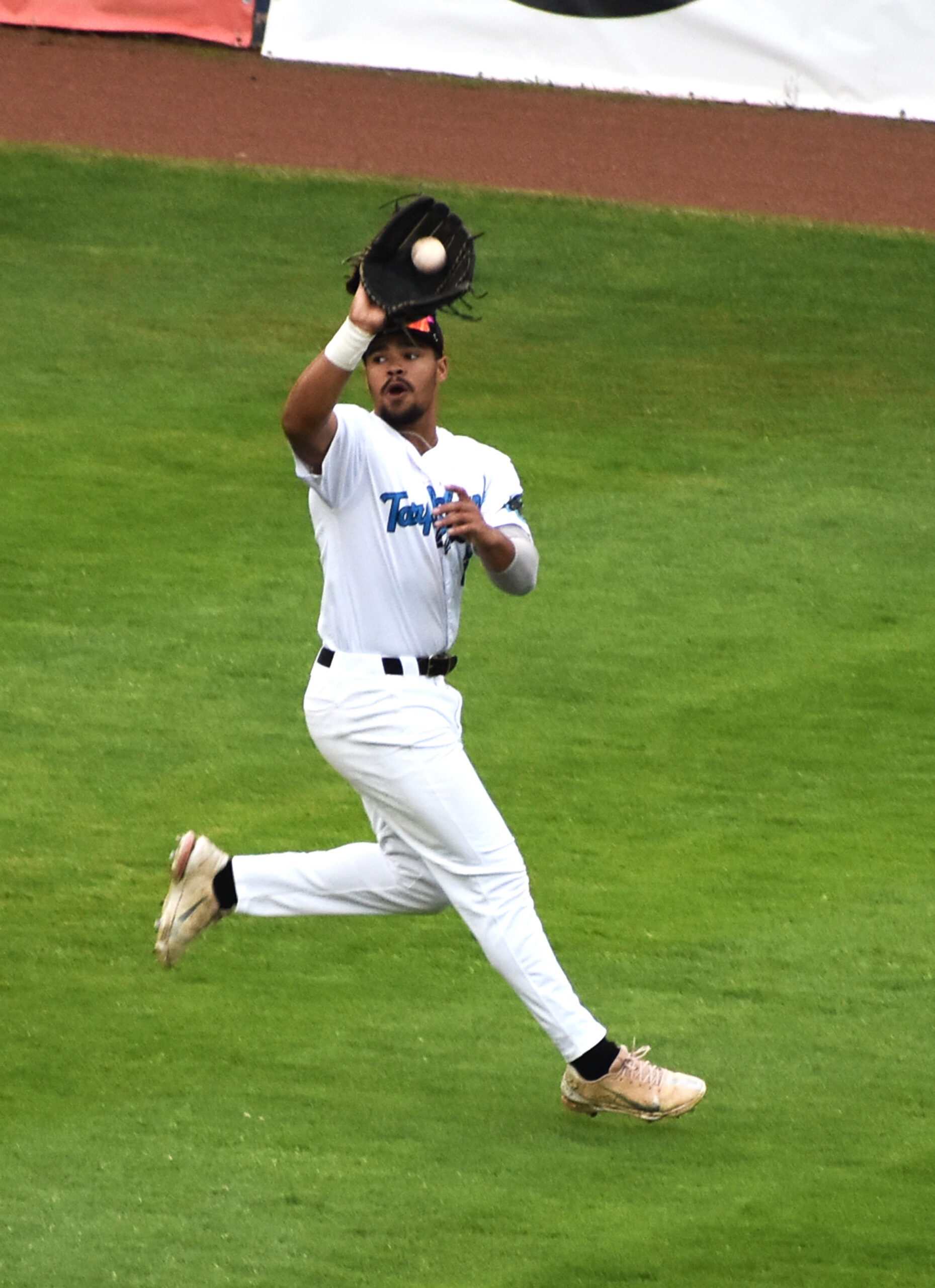 Tarp Skunks suffer 2-0 loss to Niagara | News, Sports, Jobs - Observer ...
